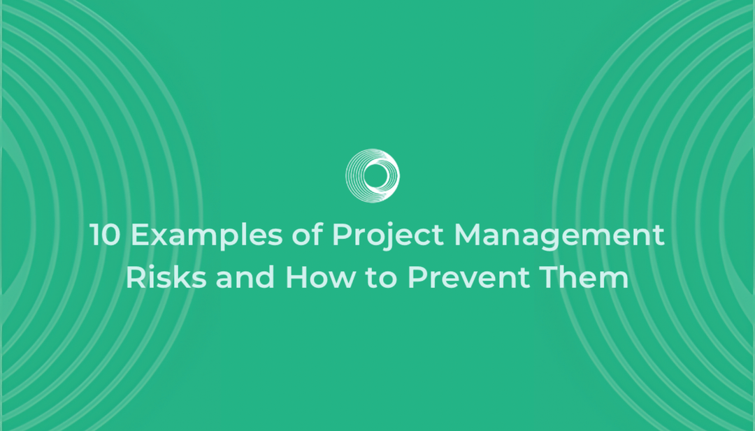 10 Examples of Project Management Risks and How to Prevent Them